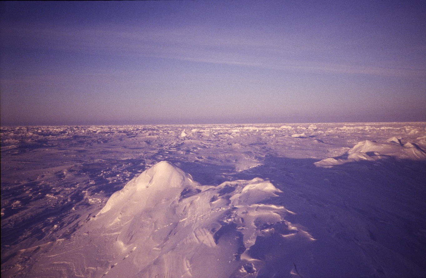 Noordpool – Team Wilco Van Rooijen